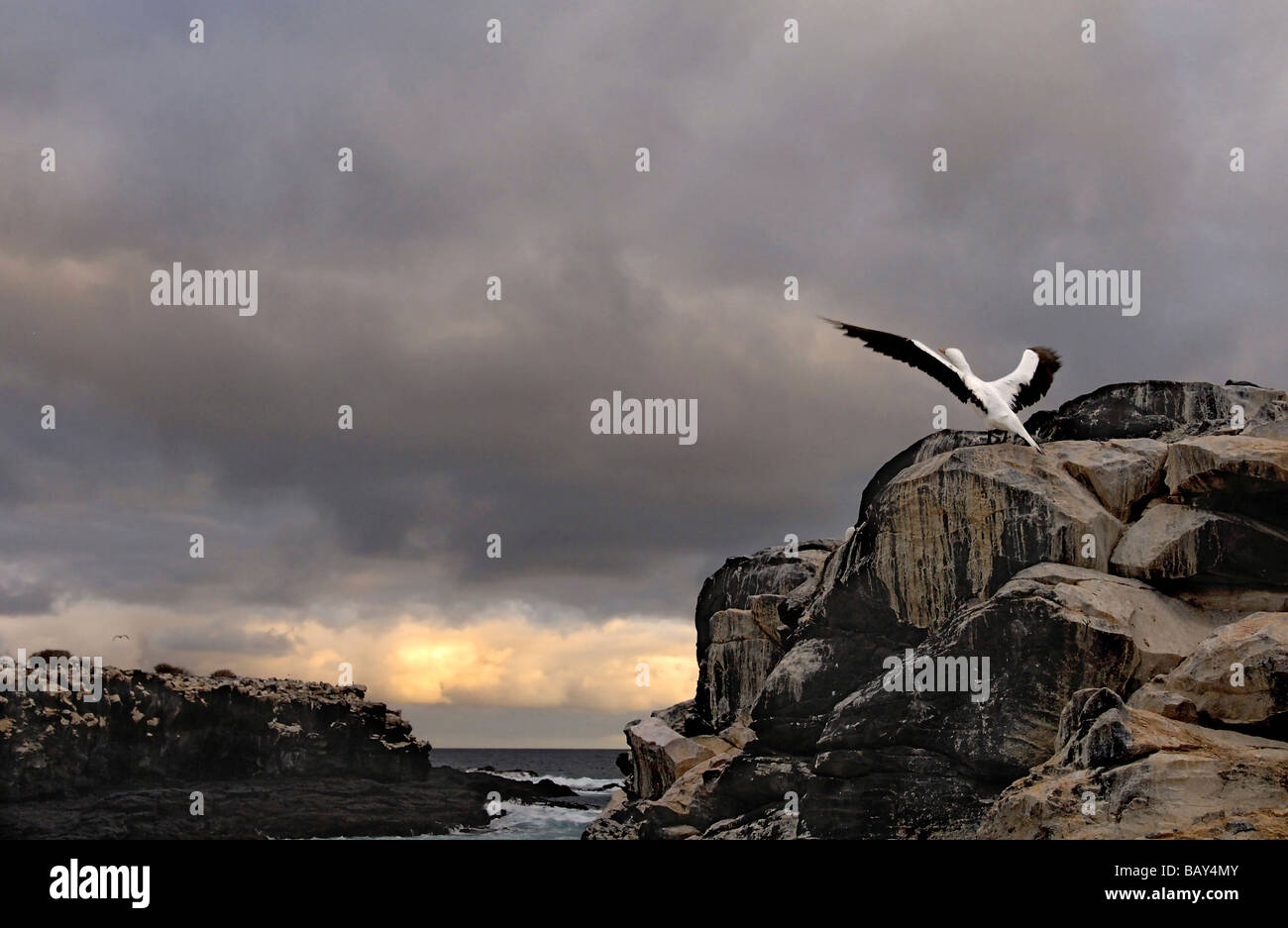 Sunset on Isla Espanola, Galapagos Islands, Ecuador, South America ...