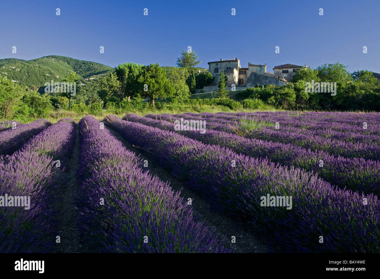 Luberon mountains hi-res stock photography and images - Alamy