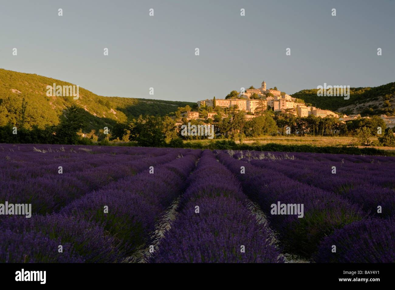 Morning in provence hi-res stock photography and images - Alamy