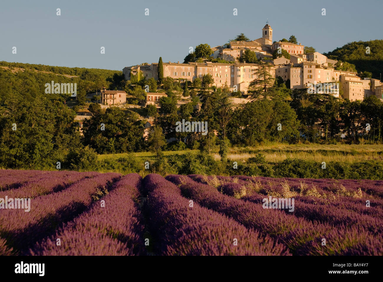 Morning in provence hi-res stock photography and images - Alamy