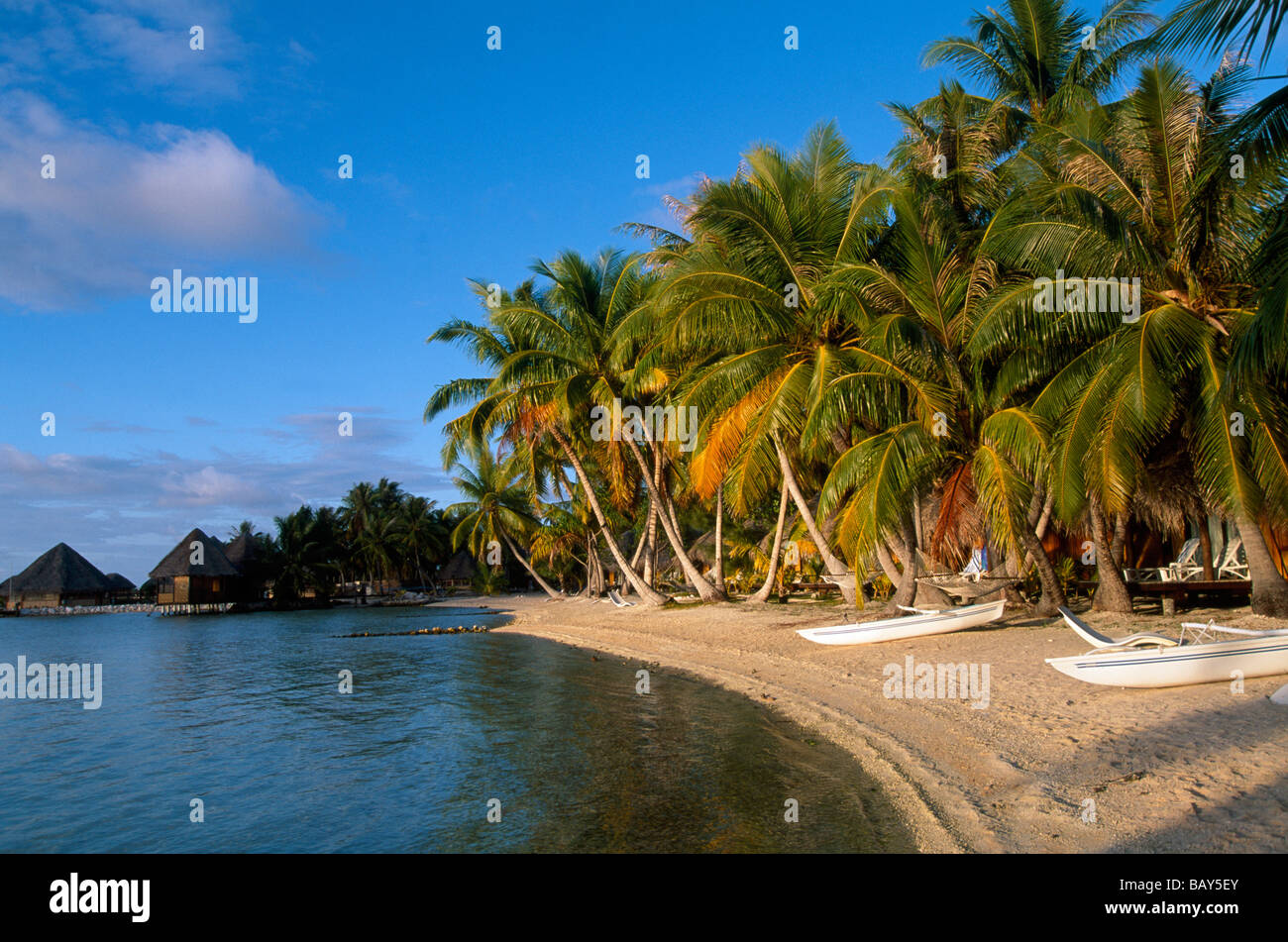 Beach bungalows, Manihi Pearl Beach, Manihi Atoll, Tuamotus, French ...