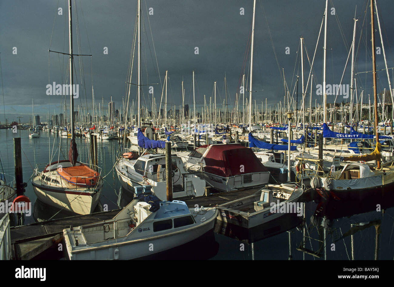 Westhaven Marina, Auckland, North Island, New Zealand Stock Photo - Alamy