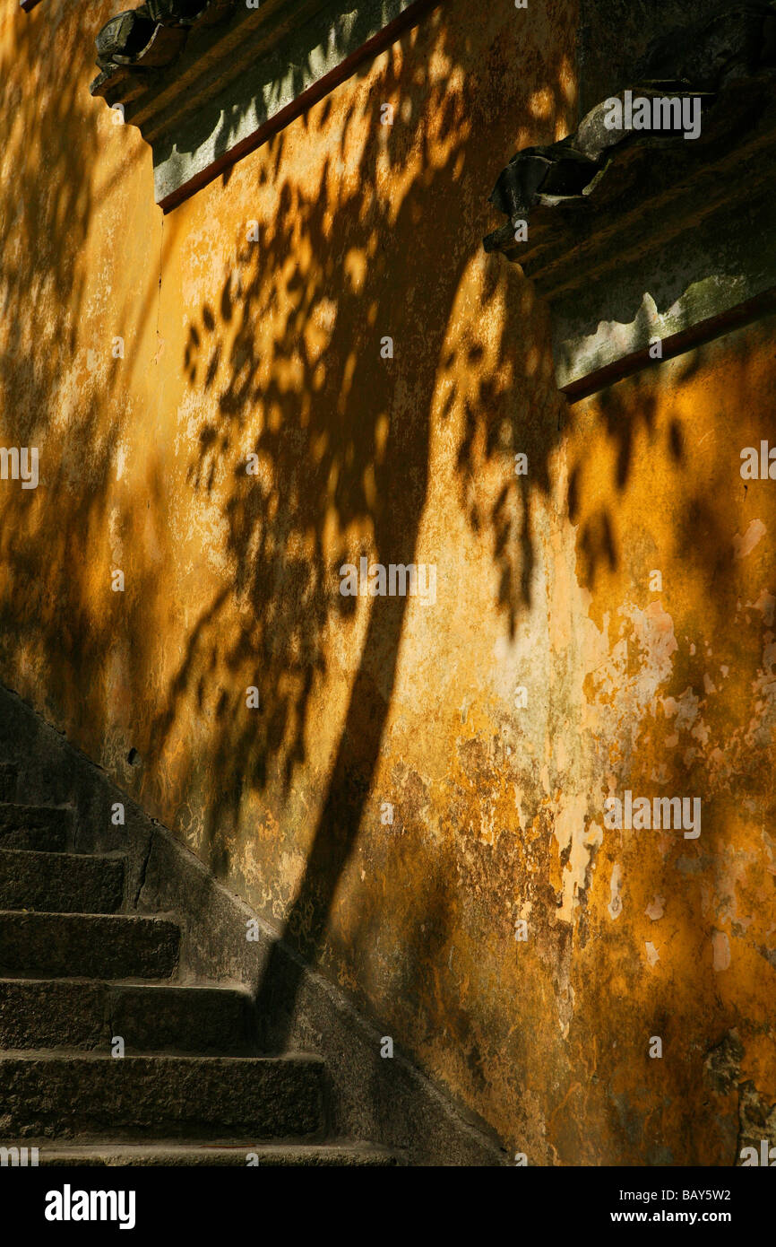 A tree's shadow on the yellow wall of Fayu monastery on Putuo Shan ...
