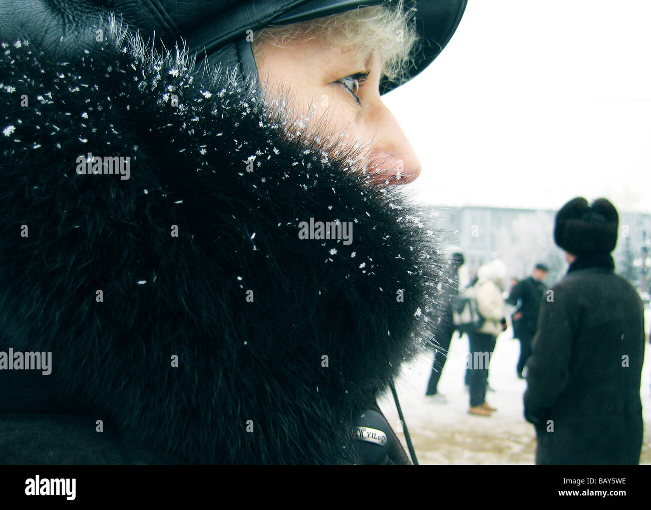 Profile of a woman wearing a fur coat, Omsk, Siberia Stock Photo - Alamy