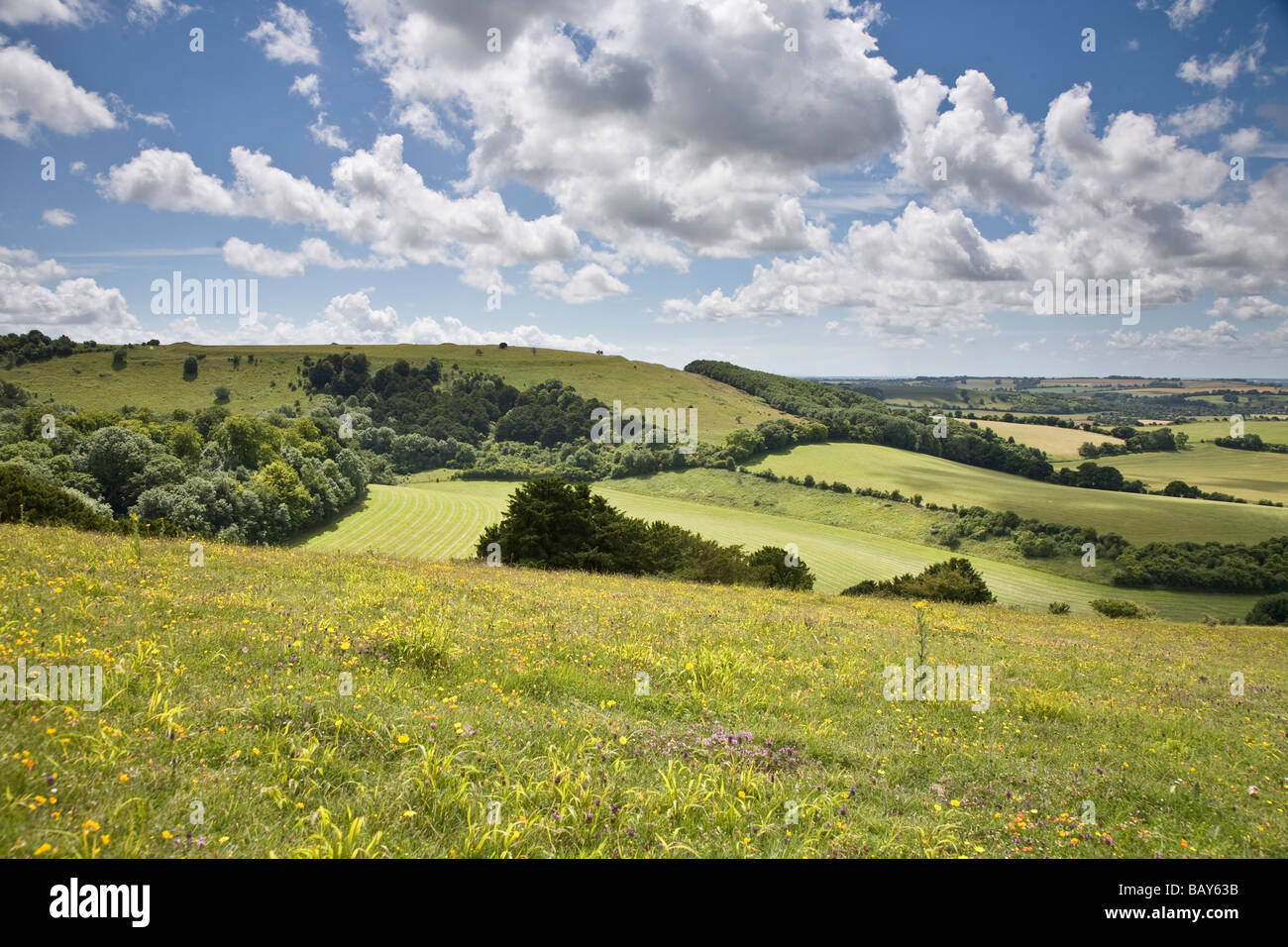 View of the Meon Valley and the South Downs from Old Winchester Hill ...