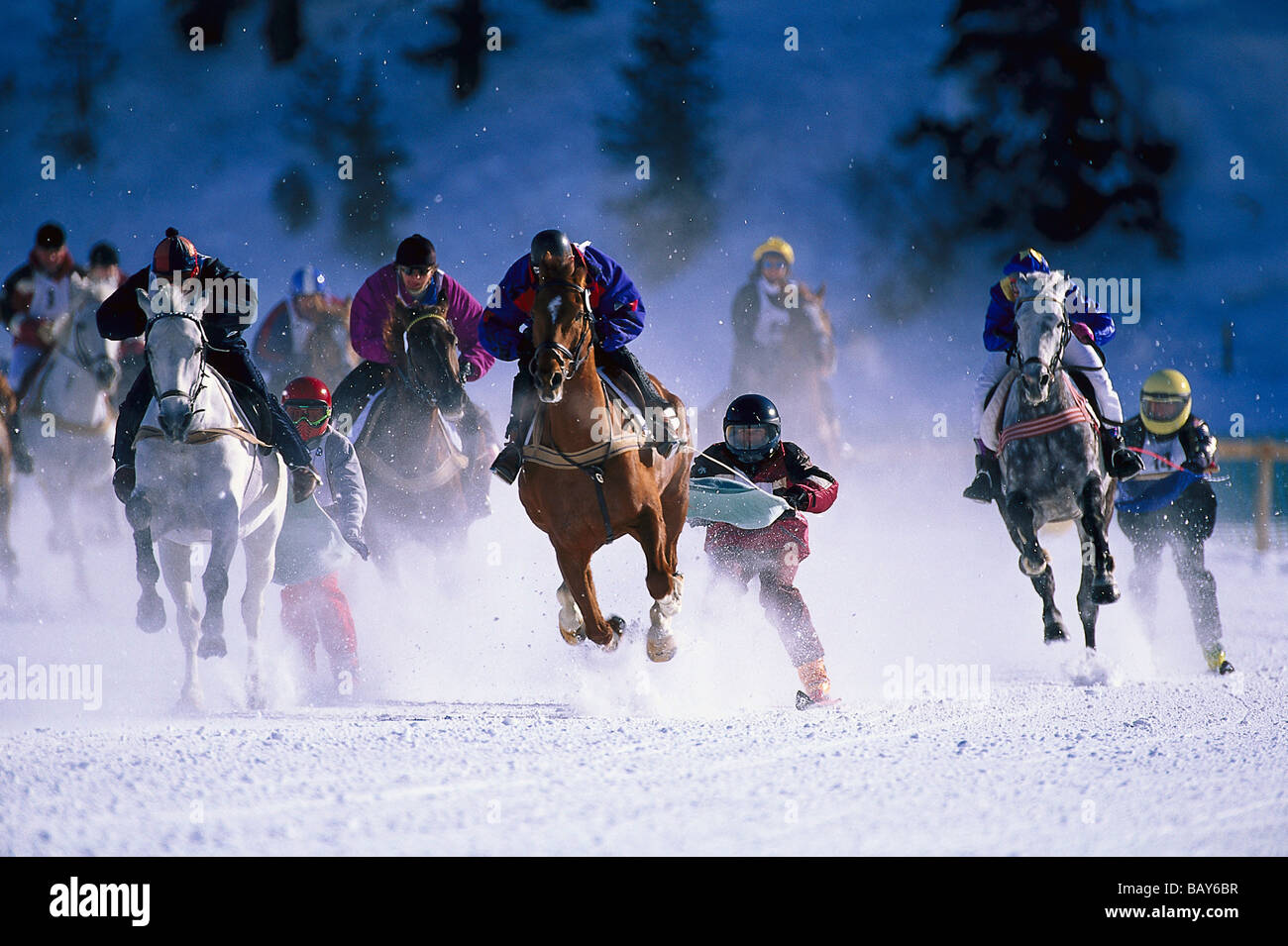 White Turf Skijoring, St. Moritz, Engadin, Grisons, Switzerland Stock ...