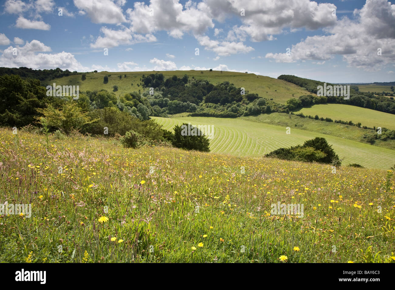 View of the Meon Valley and the South Downs from Old Winchester Hill ...