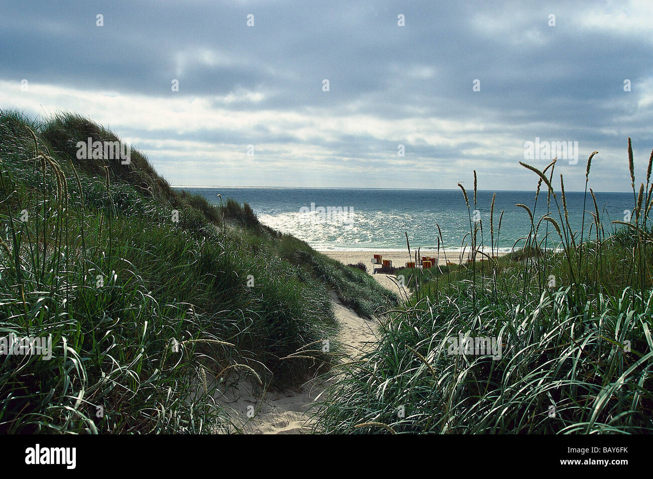 Dunes on Sylt Island, North Frisian Islands, Schleswig-Holstein ...