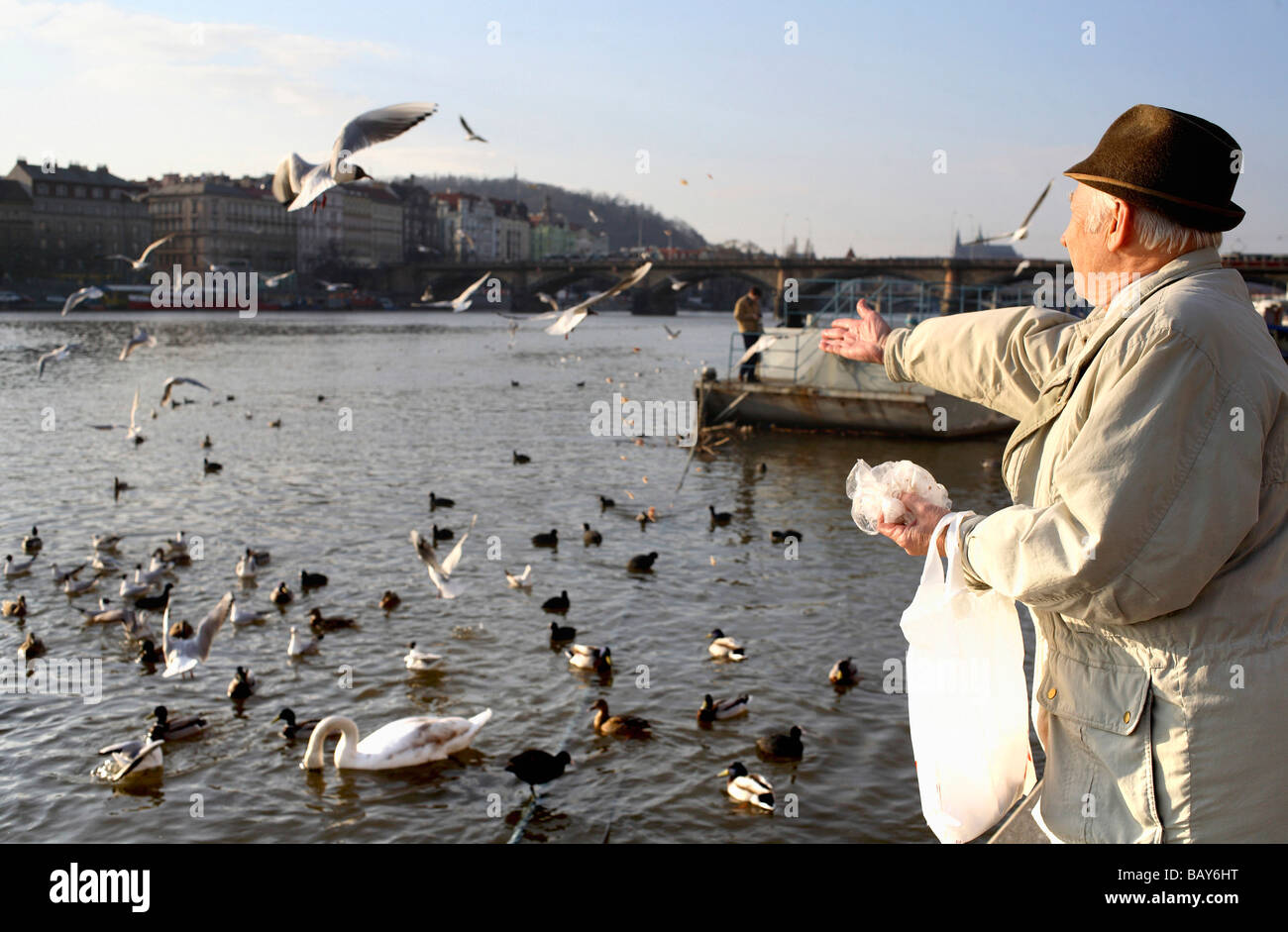 Elderly feeding ducks hi-res stock photography and images - Alamy