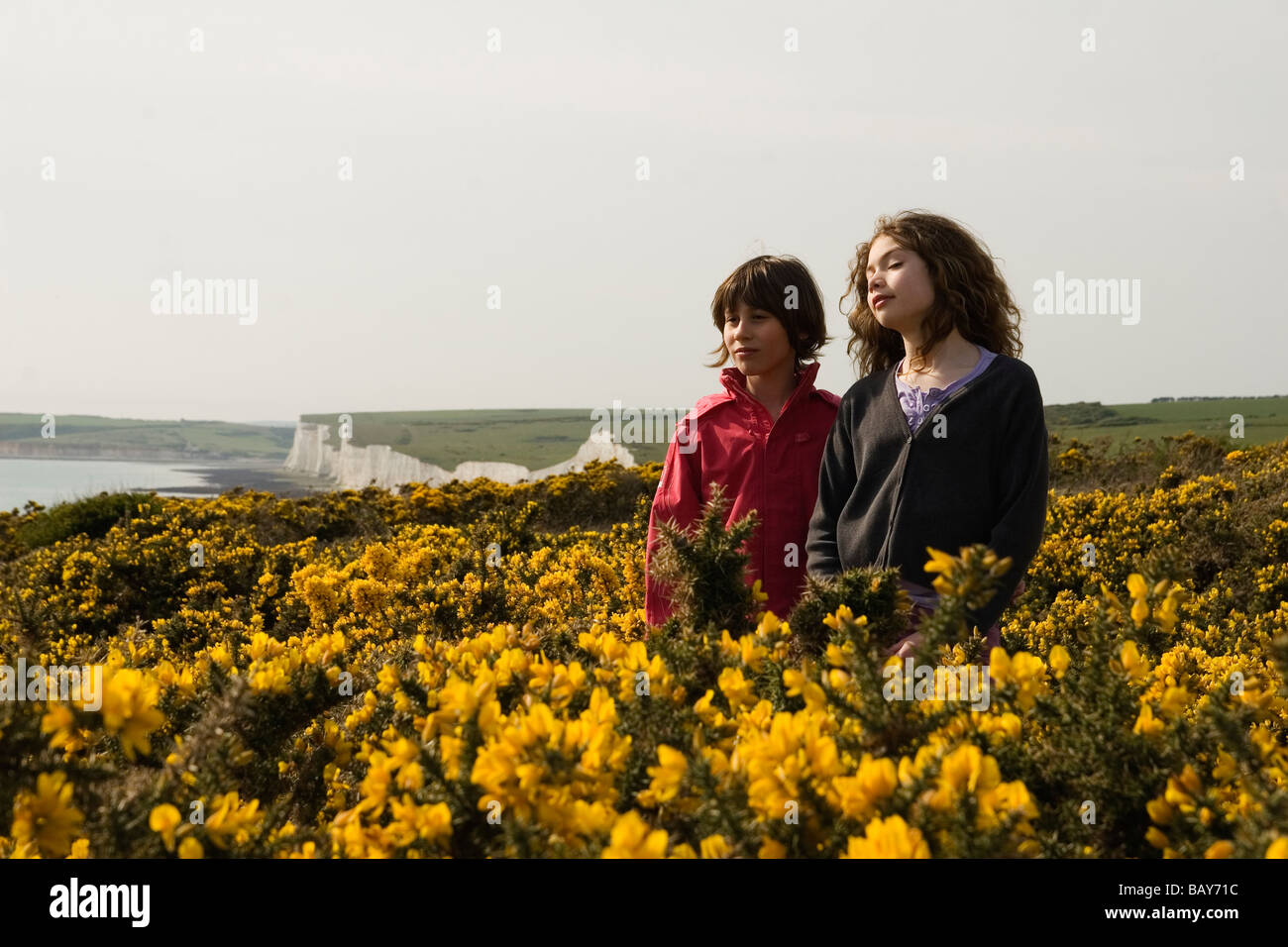 girls surrounded by Western Gorse heather in Sussex Stock Photo - Alamy