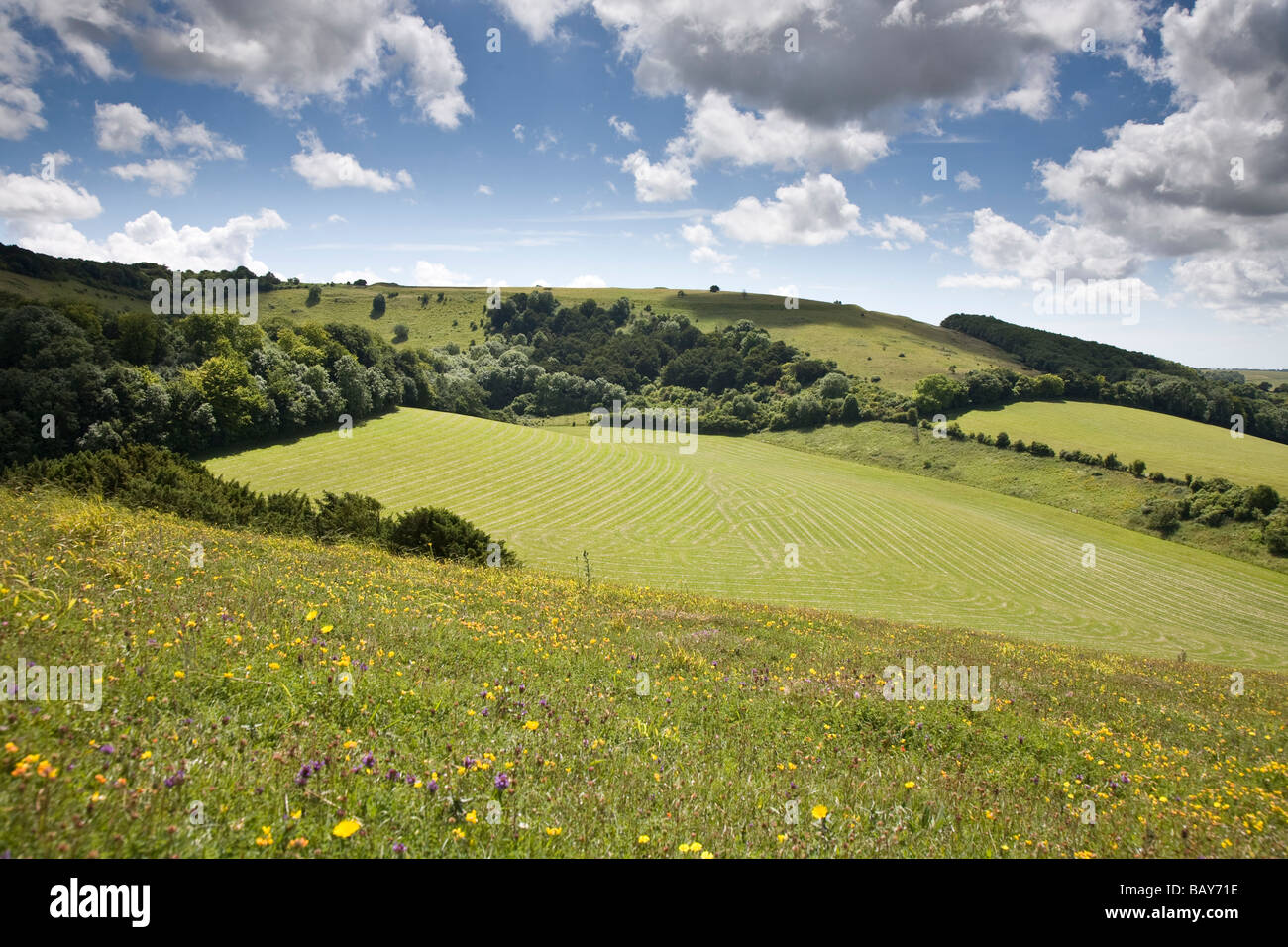 Old winchester hill flowers hi-res stock photography and images - Alamy