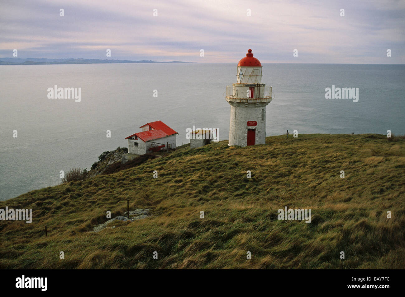 lighthouse on Otago Peninsula, South Island, New Zealand Stock Photo ...