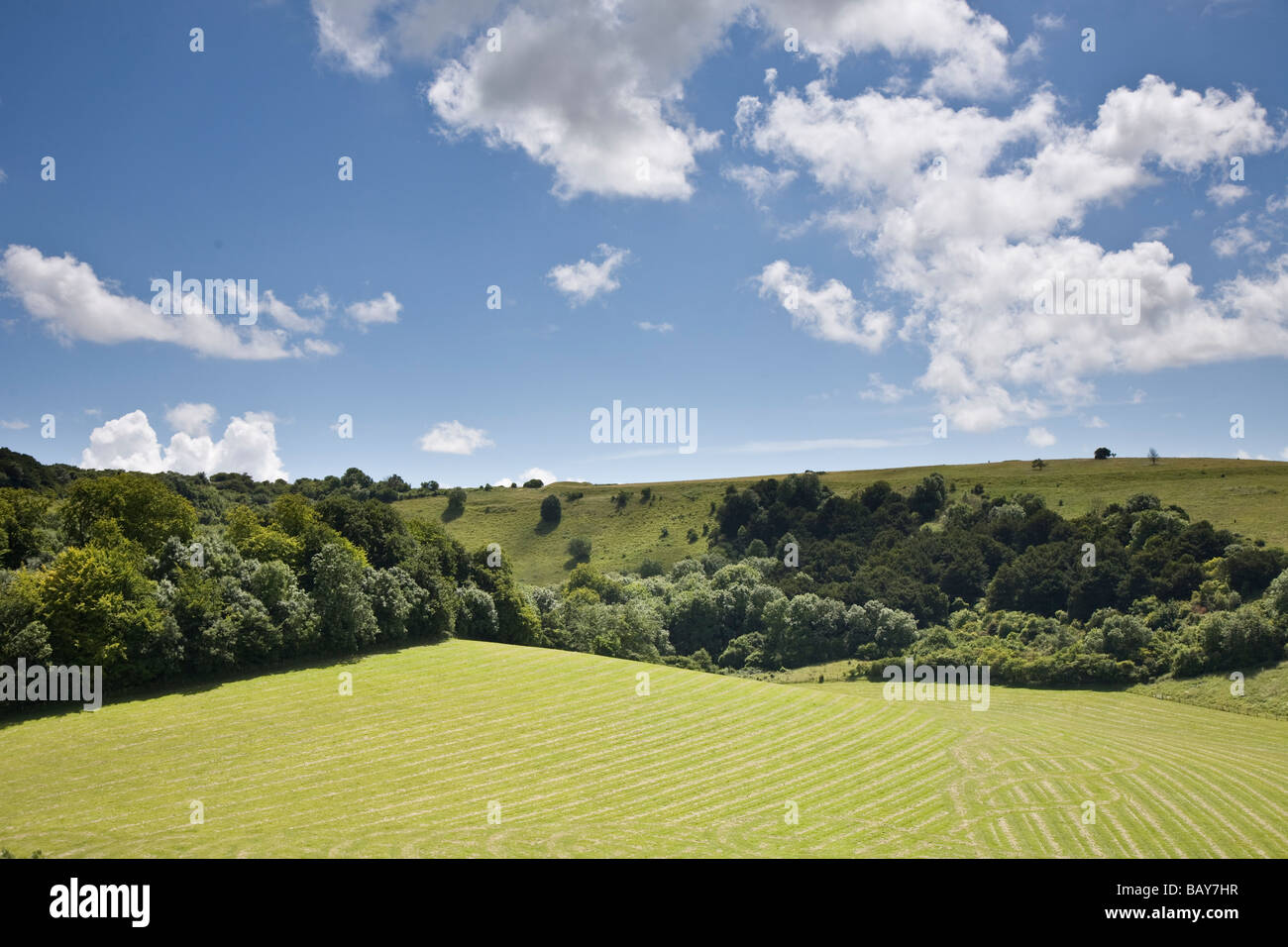 View of the Meon Valley and the South Downs from Old Winchester Hill ...