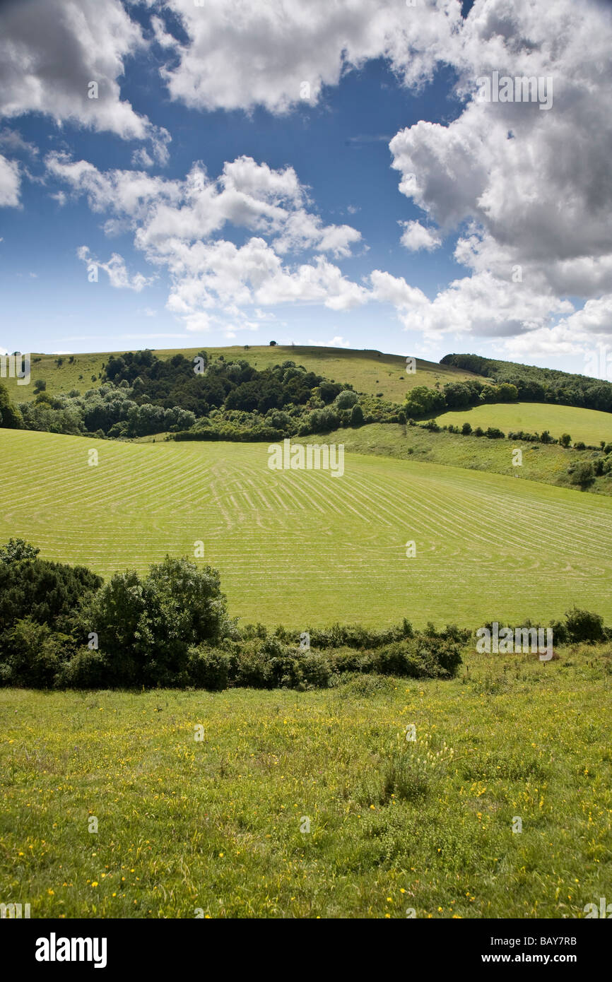 Old Winchester Hill Meon High Resolution Stock Photography and Images ...