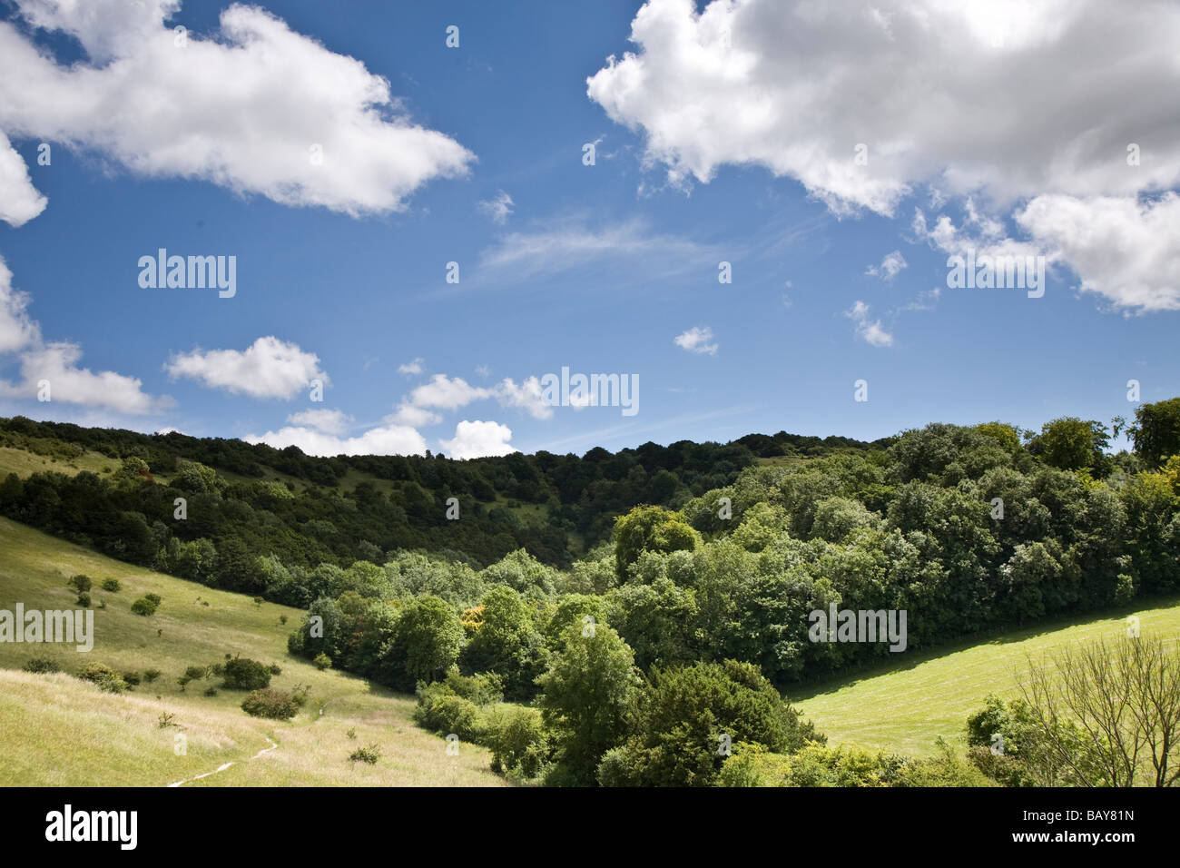 View of the Meon Valley and the South Downs from Old Winchester Hill ...