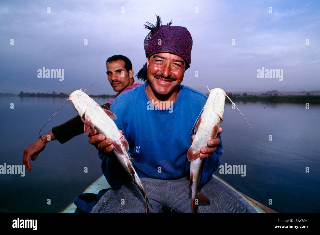 Fishermen near Minya, Egypt, net-fishing for Nile Perch Stock Photo - Alamy