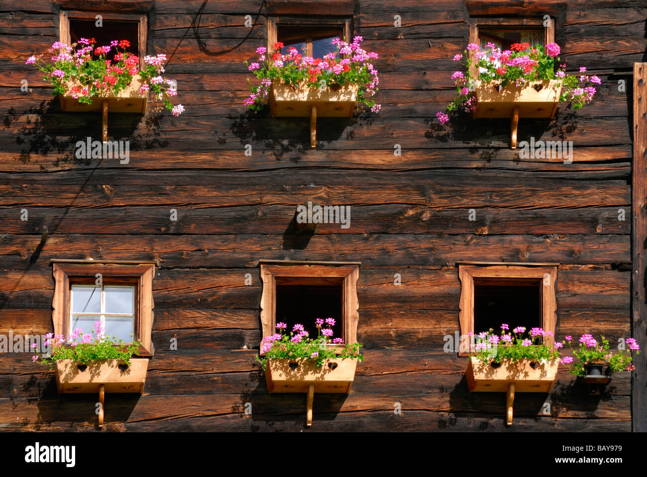flower decorated windows at farmhouse, Oetztal range, South Tyrol ...