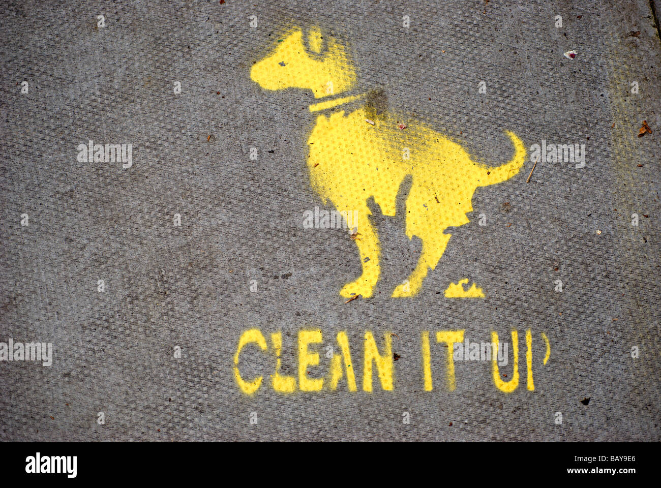 local council yellow stencilled image of defecating dog on pavement ...