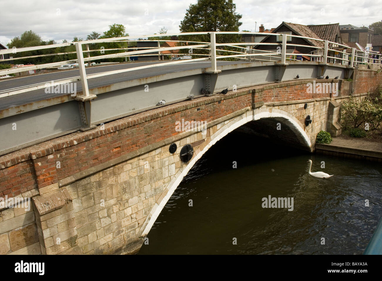 Young swan swims under old bridge at Wroxham, Norfolk Broads, England ...