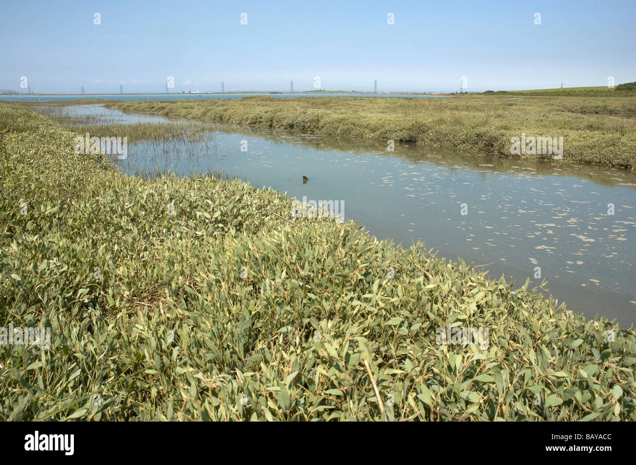 Medway estuary hi-res stock photography and images - Alamy