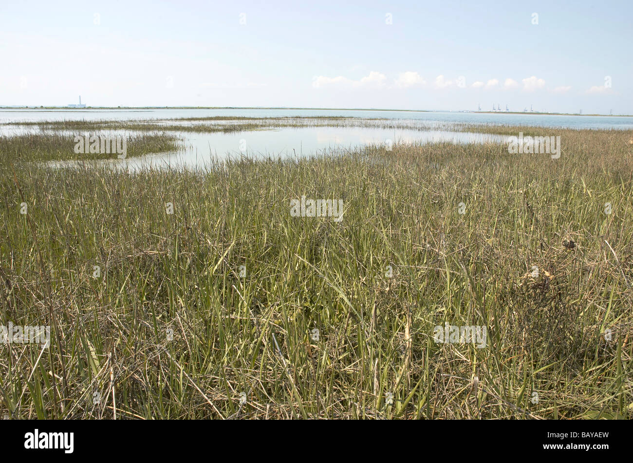 Estuary scene on the river medway in kent Stock Photo - Alamy