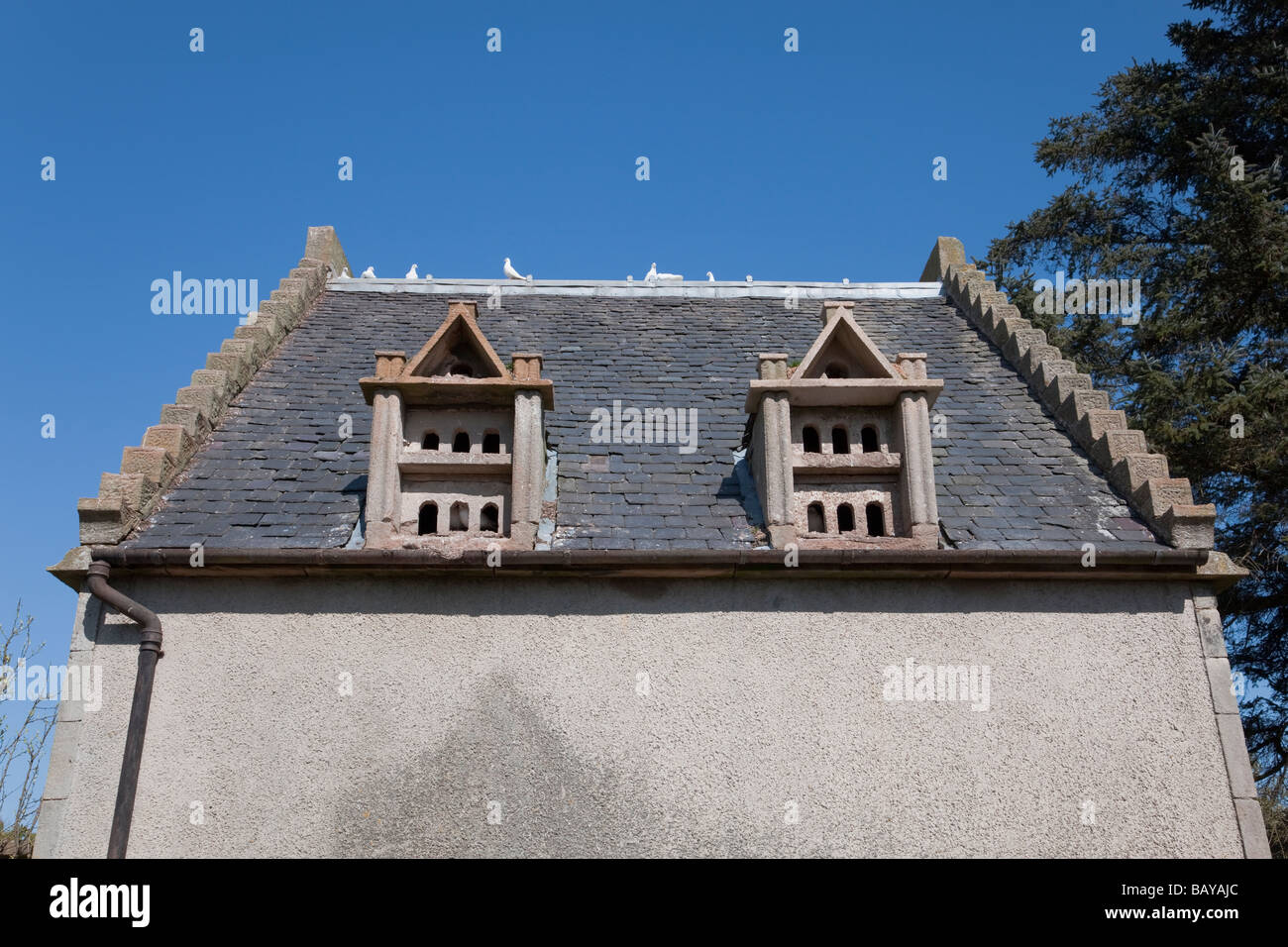 Dovecot hi-res stock photography and images - Alamy