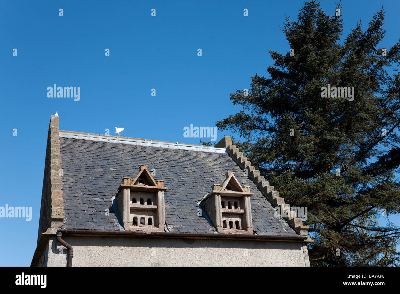 Dovecot hi-res stock photography and images - Alamy