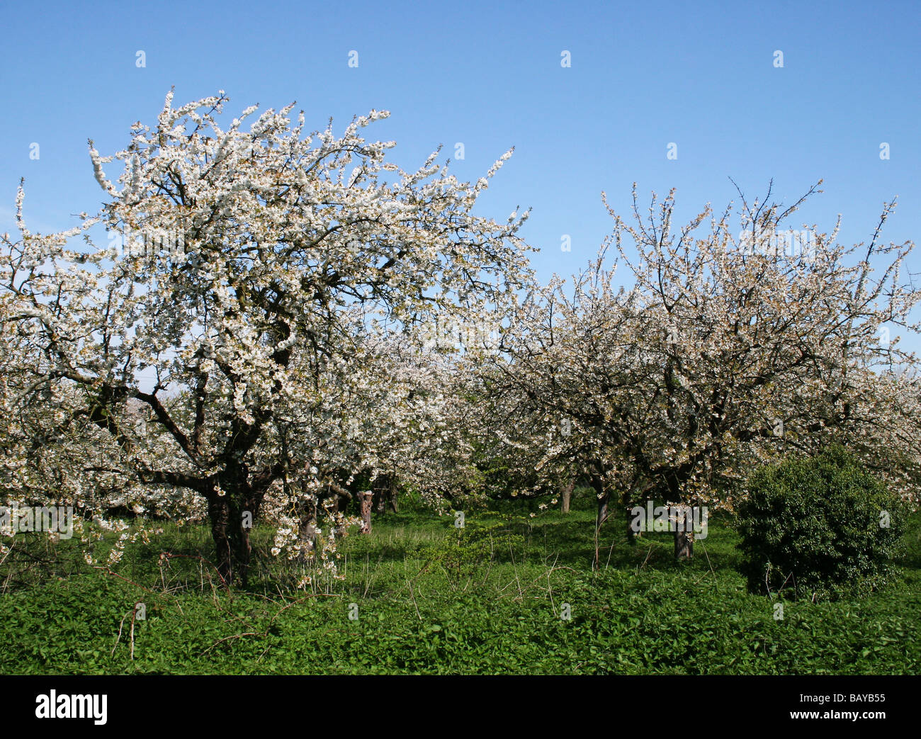 Rainham kent hi-res stock photography and images - Alamy