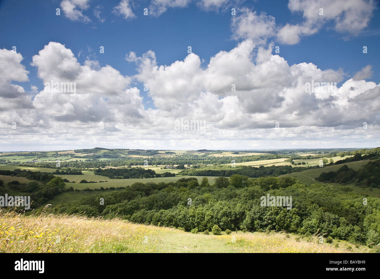 Old winchester hill meon hi-res stock photography and images - Alamy