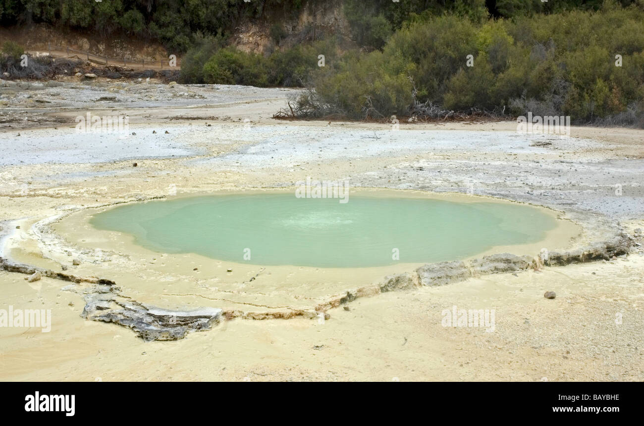The Oyster Pool at Wai-O-Tapu Thermal Wonderland near Rotorua, New ...