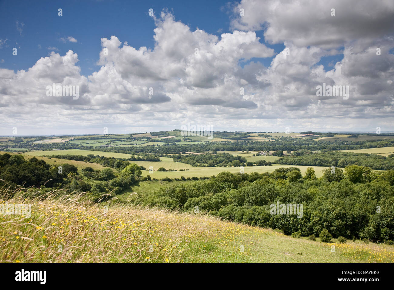 View of the Meon Valley and the South Downs from Old Winchester Hill ...