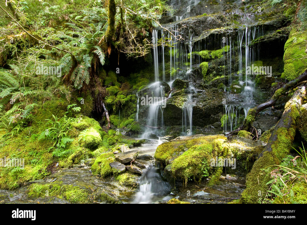 Waterfall in West Matukituki Valley Mt Aspiring NP South Island New ...