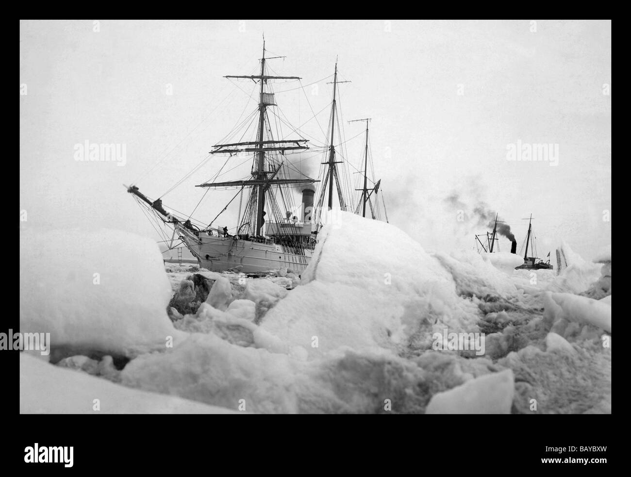 Cutter bear hi-res stock photography and images - Alamy