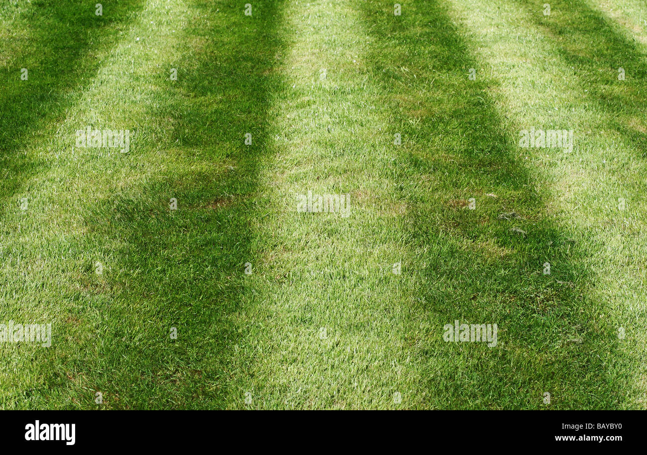 Striped Lawn High Resolution Stock Photography and Images - Alamy