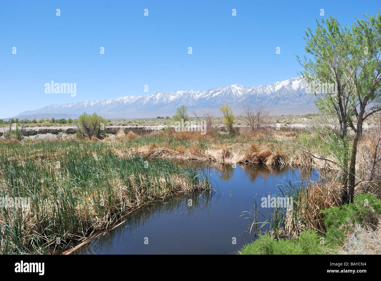 Owens River and the Eastern slope of the Sierra Nevada in California ...