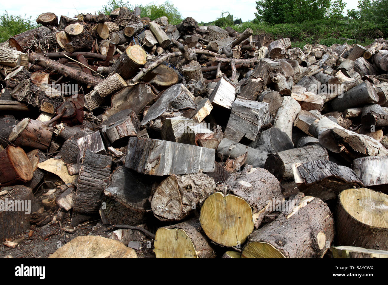 Chopped logs for fire wood at The Woodlands Farm Trust 331 Shooters ...