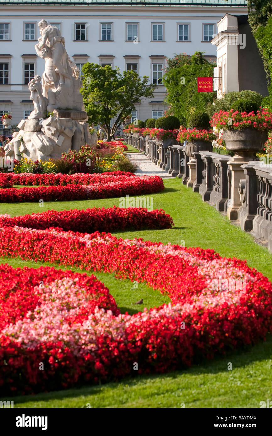 Mirabell Tree High Resolution Stock Photography and Images - Alamy