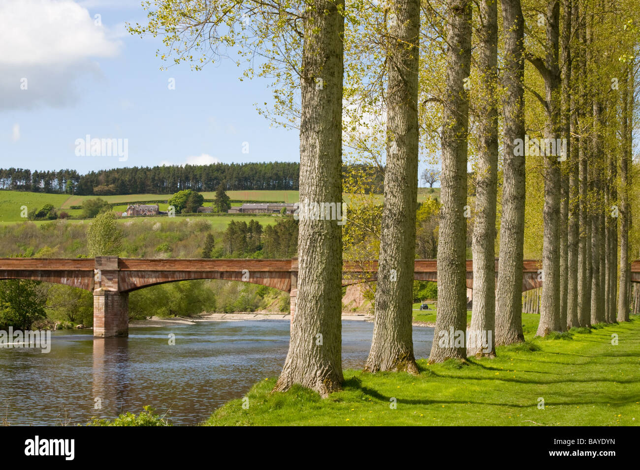 A bridge over the River Tweed, Scottish Borders Stock Photo - Alamy