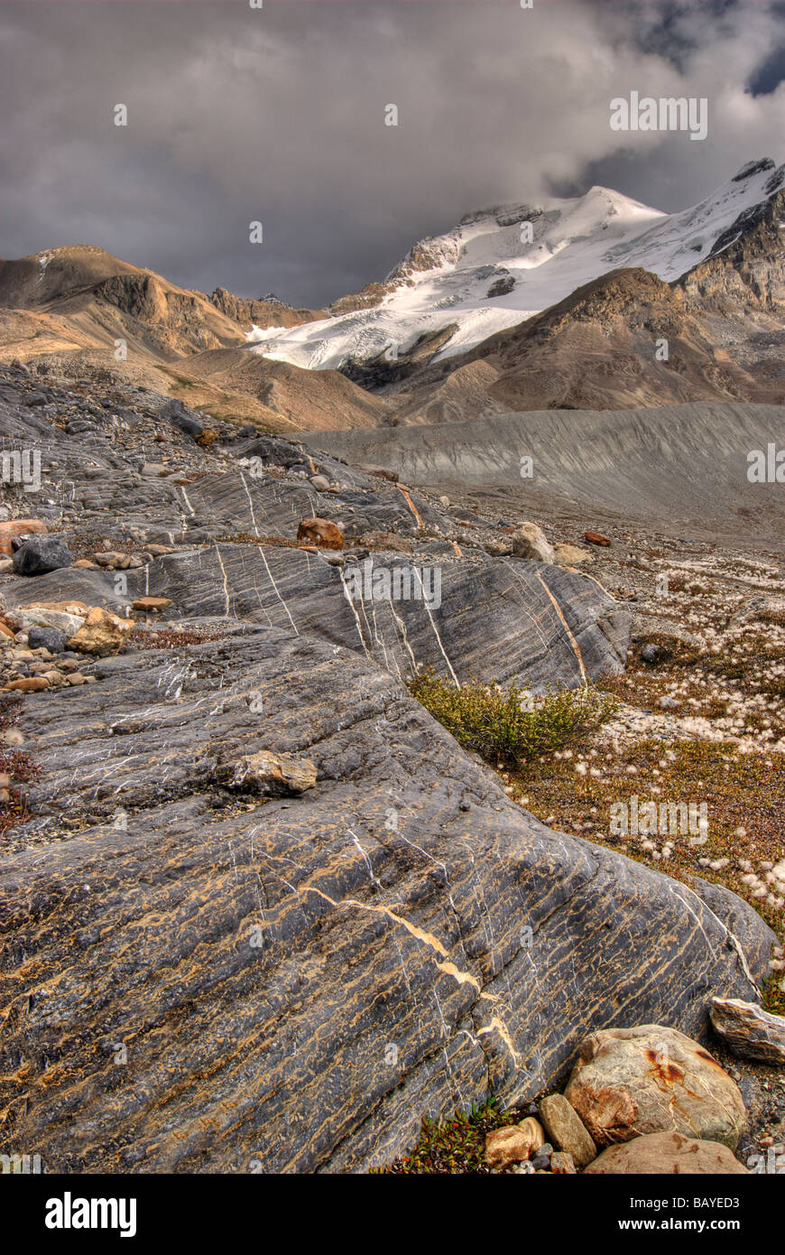 Mount Athabasca; Jasper national park, Alberta, Canada Stock Photo - Alamy