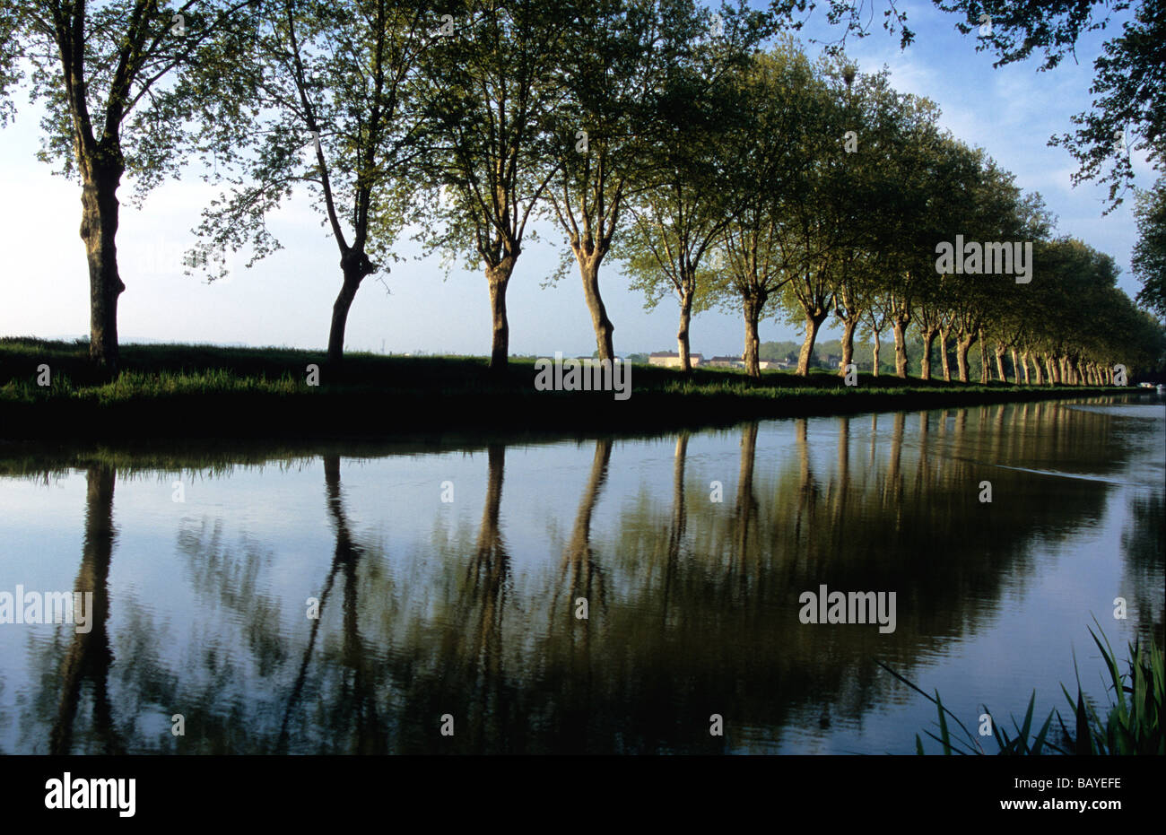 Canal du Midi near le Somail Languedoc France Stock Photo - Alamy