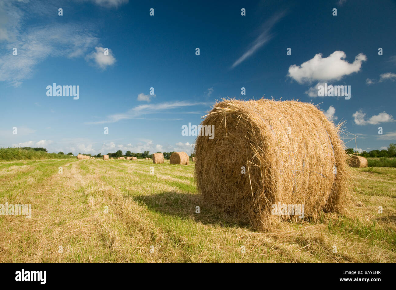 Hay rolls in fields hi-res stock photography and images - Alamy