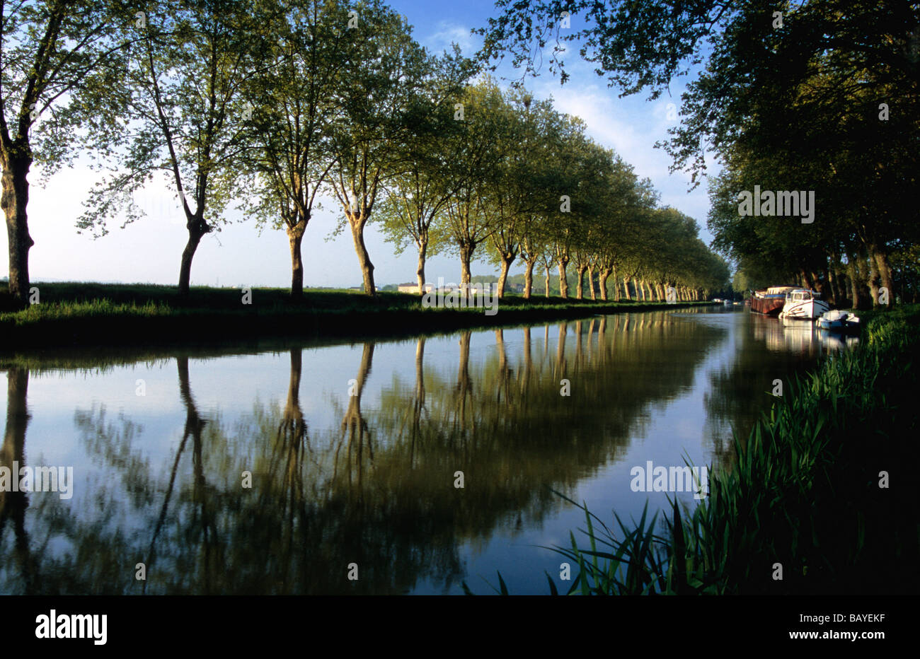 Canal du Midi near le Somail Languedoc France Stock Photo - Alamy