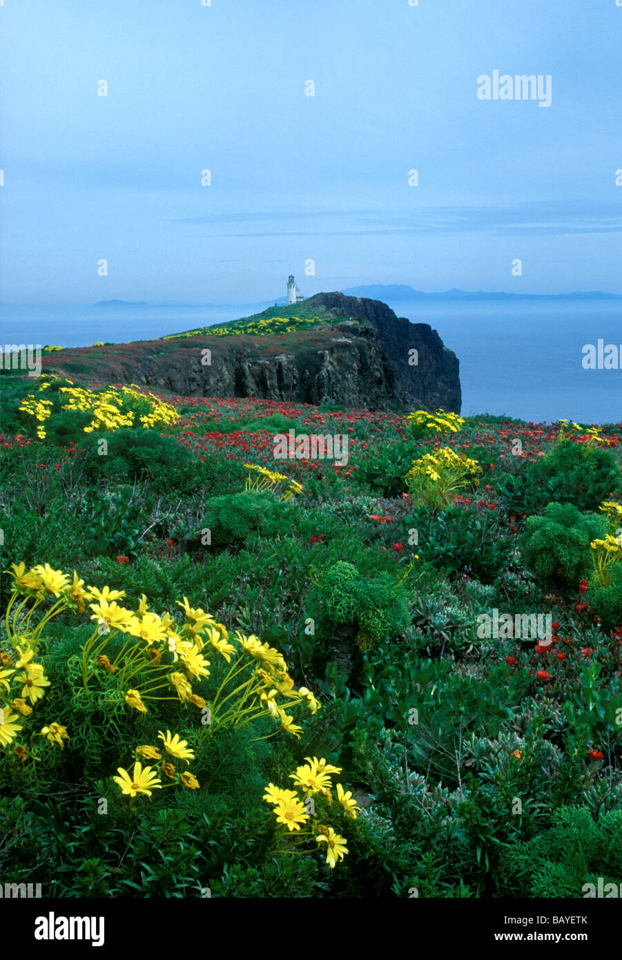 Anacapa Island - Channel Islands National Park, California Stock Photo ...