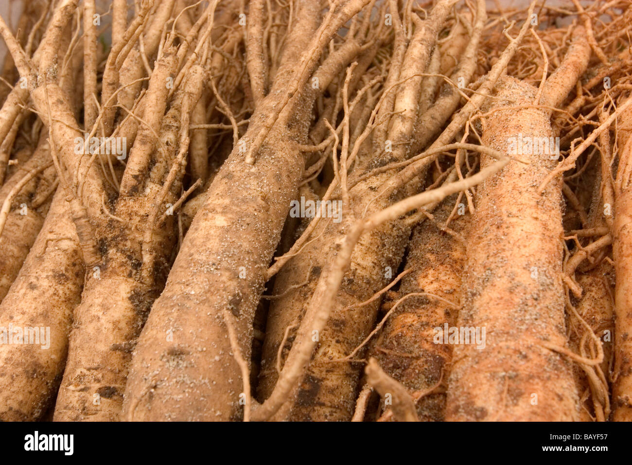 Ginseng roots are sold at an apothecary shop in the famous Yangnyeong ...