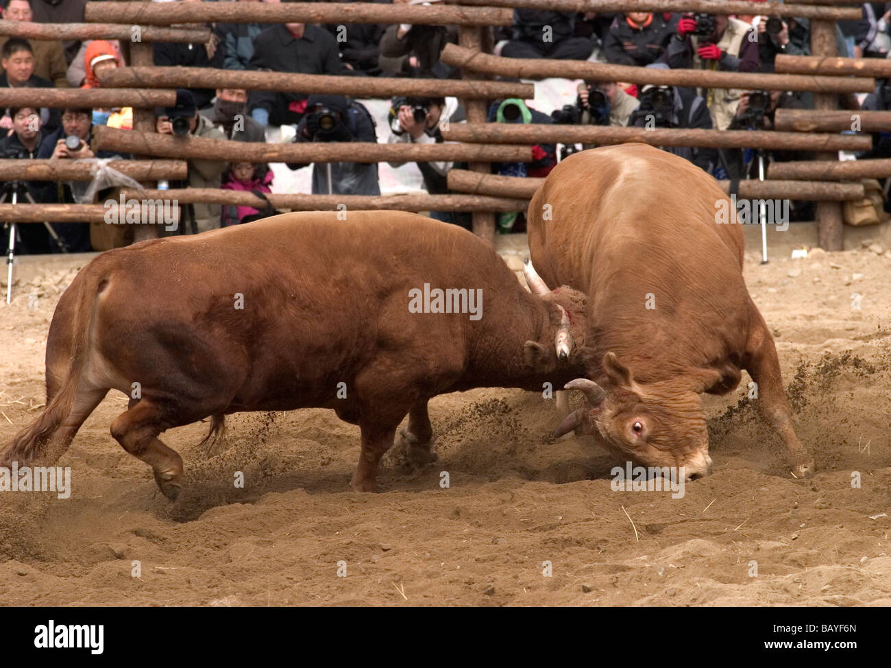Cheongdo High Resolution Stock Photography and Images - Alamy