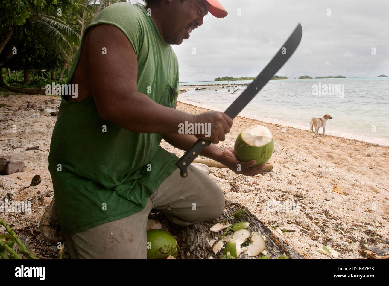 Man cuts open green coconuts hi-res stock photography and images - Alamy
