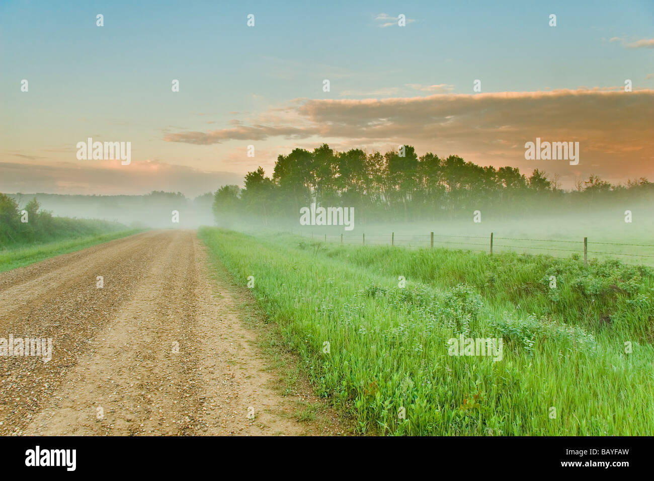 Fog, Rural Road and Field at Dawn, Alberta, Canada Stock Photo - Alamy
