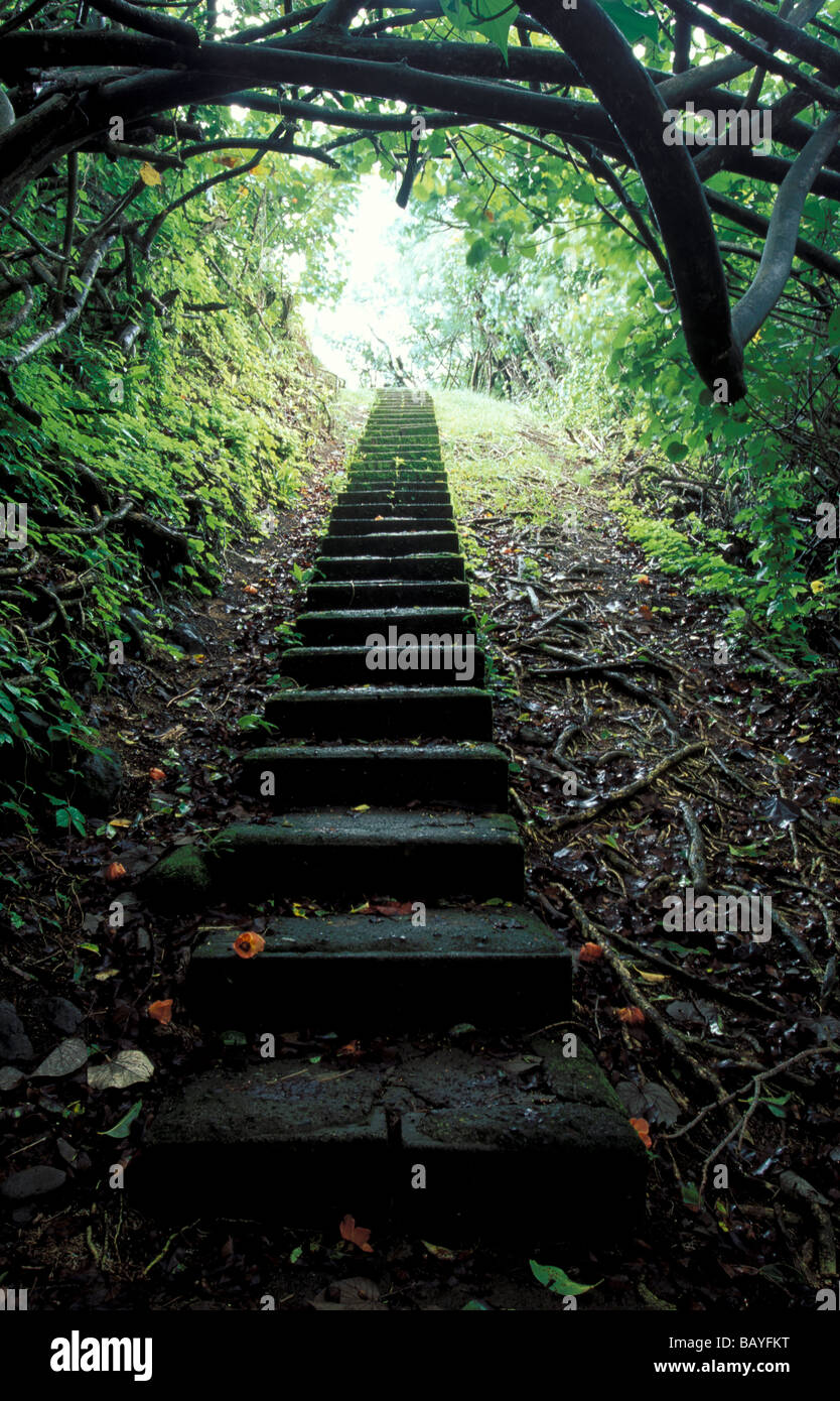Stairway to a lookout at Wailua, Maui, Hawaii Stock Photo - Alamy