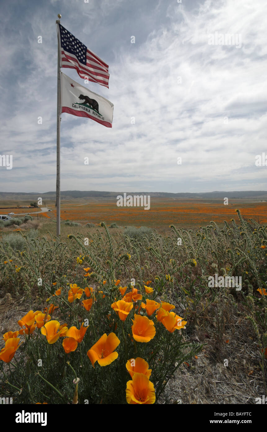 Poppy reserve hi-res stock photography and images - Alamy