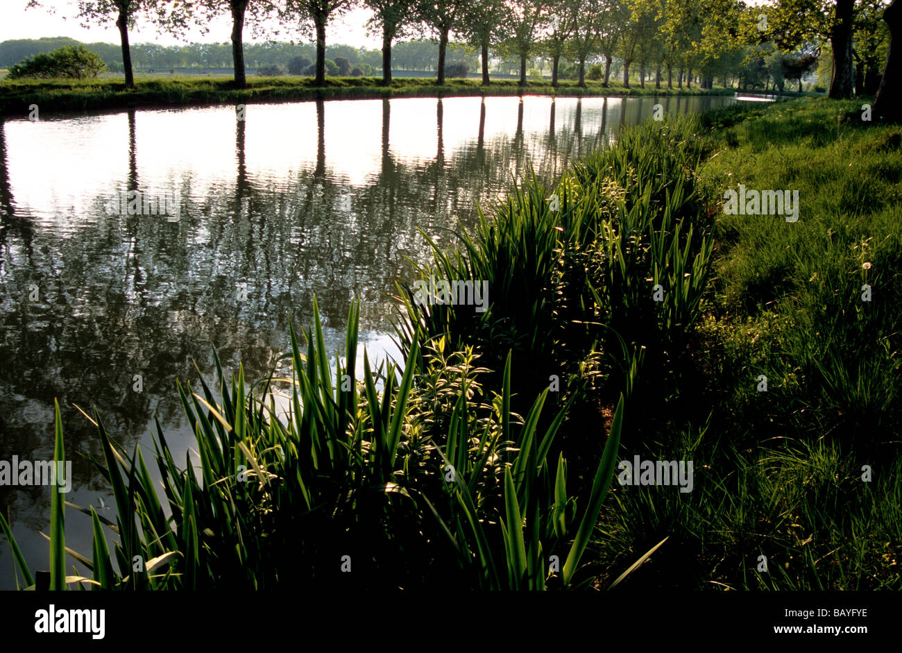 Canal du Midi near le Somail Languedoc France Stock Photo - Alamy